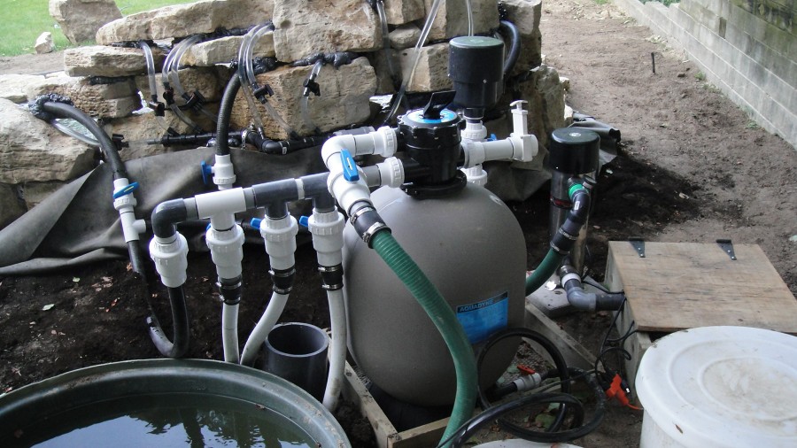 Japanese Koi and Pond and Waterfall Photographs