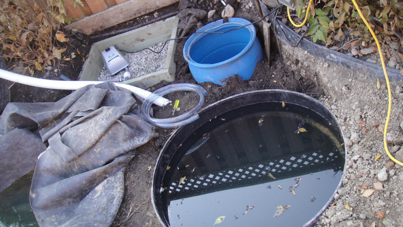 Pond and Koi Photographs