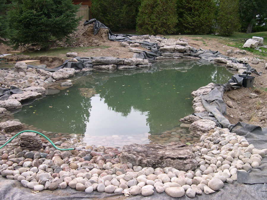 Canadian Pond Pictures