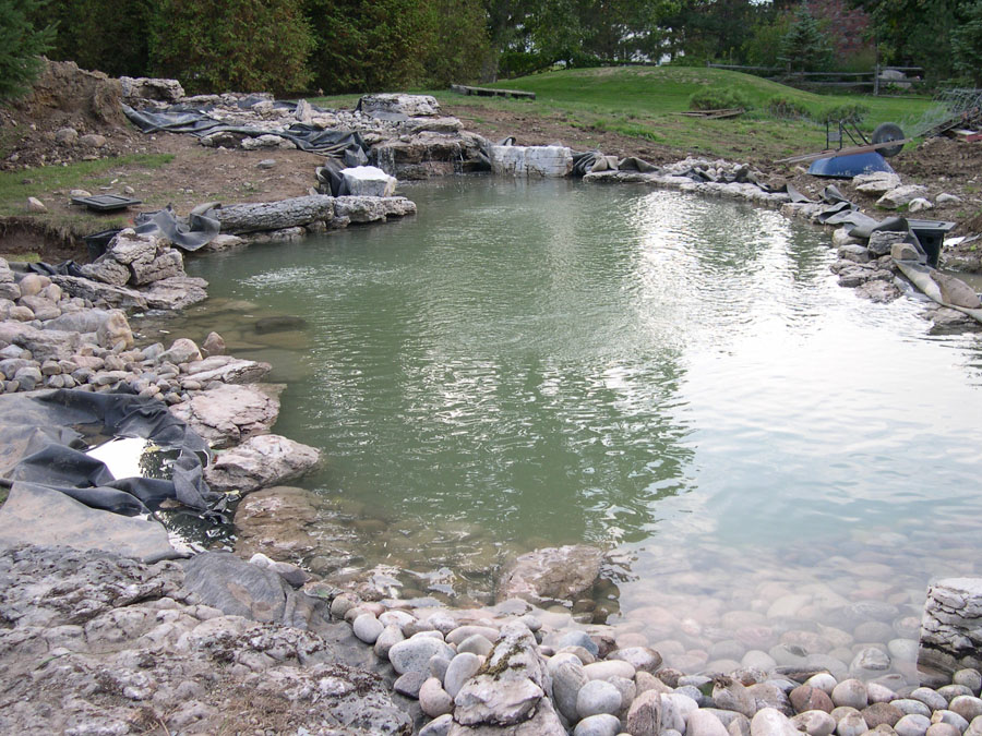 Canadian Pond Pictures
