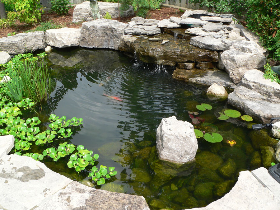 Pond Photos