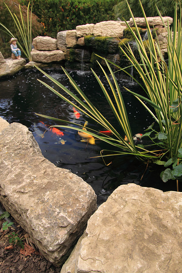 Pond Pictures Toronto