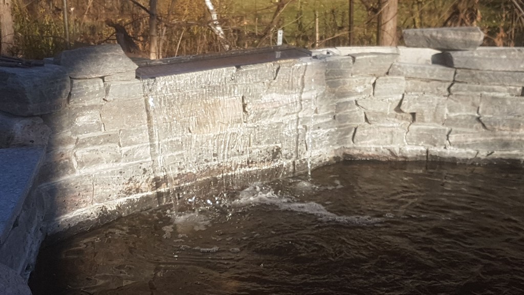 Pond Pictures Toronto